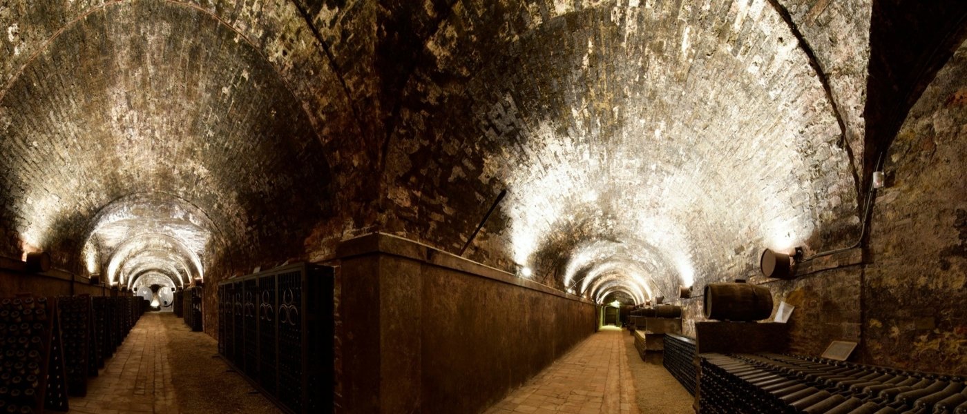 Wine Tour In The Oldest Winery In Tuscany (TUSCANY) - Guicciardini ...