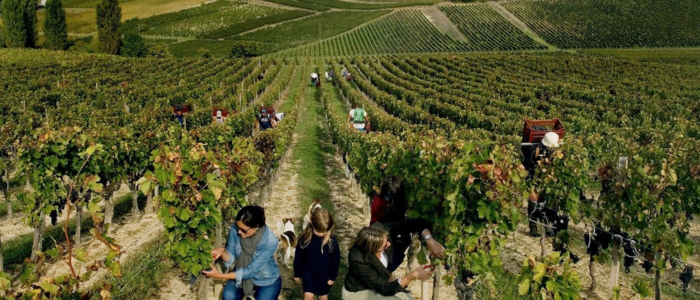 Pauillac Wine Tours | Luxury WIne Tasting in Pauillac