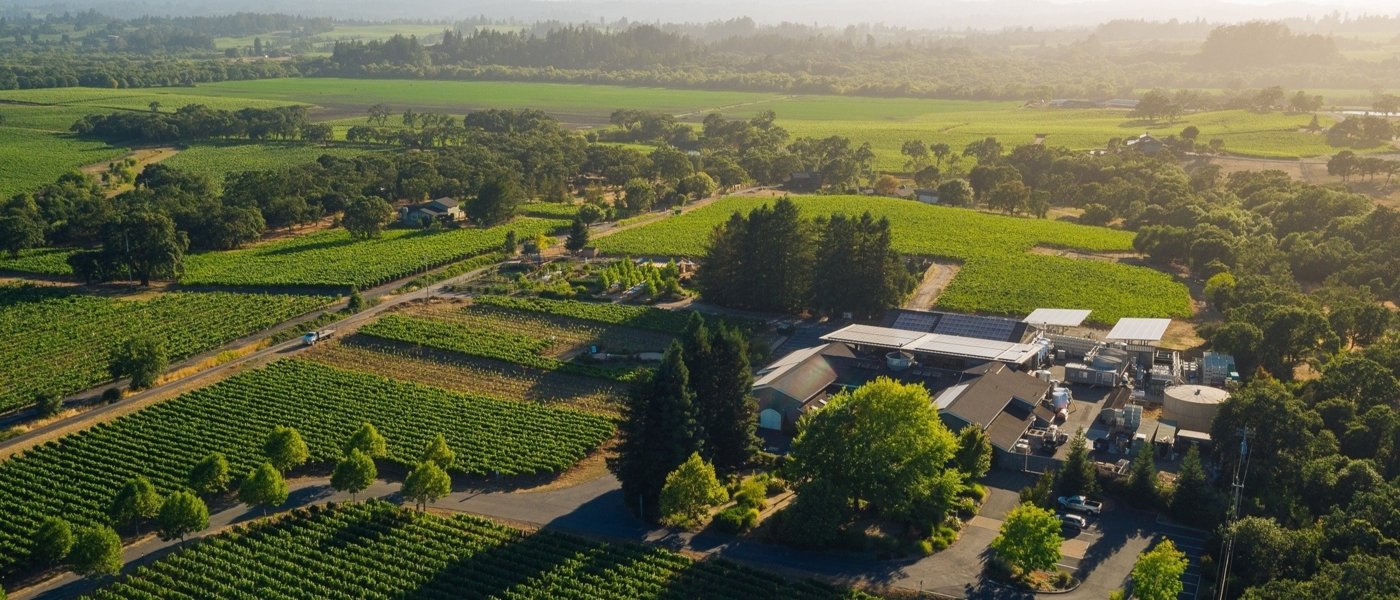 Visit DeLoach Vineyards in USA | Wine Paths