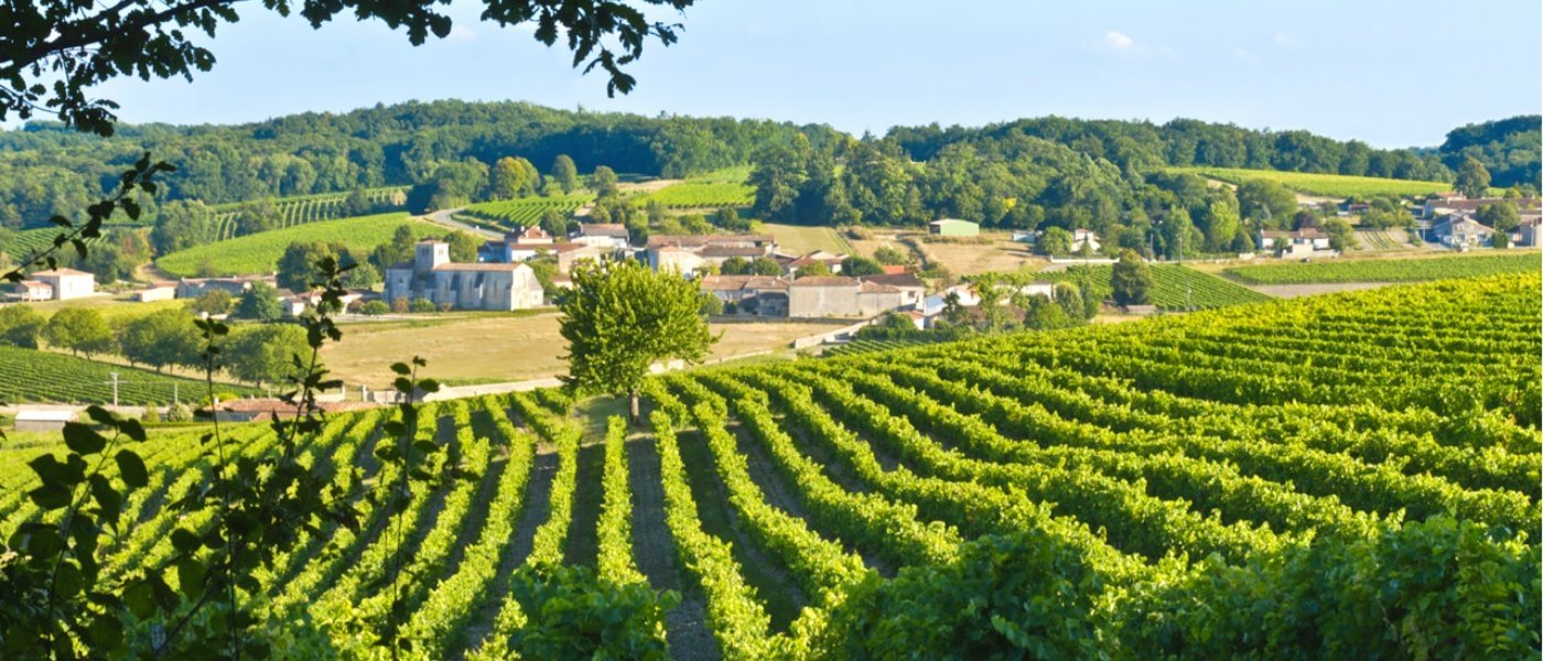 Cognac Wine Tours | Luxury Wine & Spirit Tasting in Cognac
