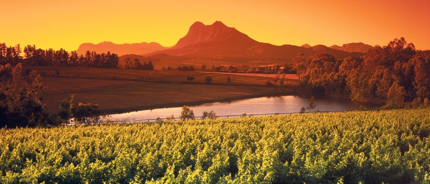 Paarl wines