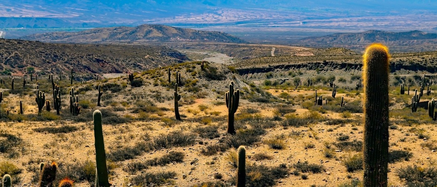 Calchaqui Valley wine in Argentina