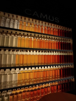 Cognac Tours | Cognac Distillery & Tasting Tours 2020/21 | Wine Paths