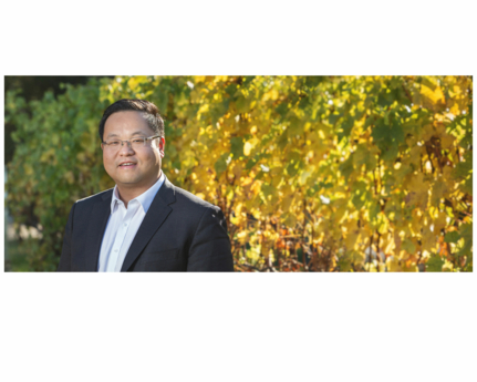 Exclusive interview with Yang Shen from Cloudy Bay