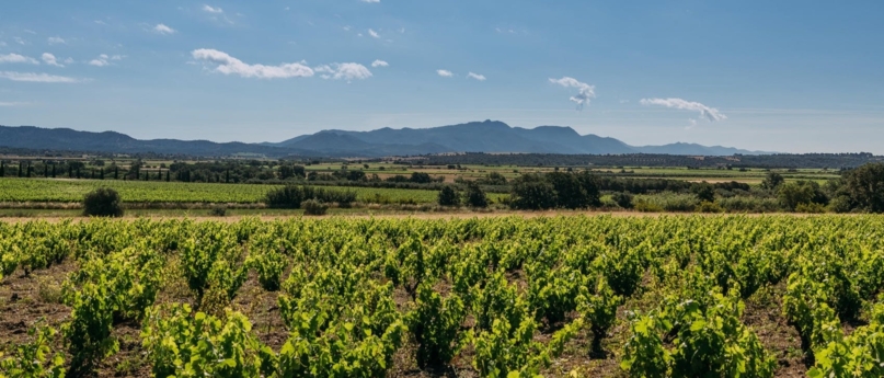 Emporda Secrets and Wine - Mariana - Local travel agent in CATALUNYA ...