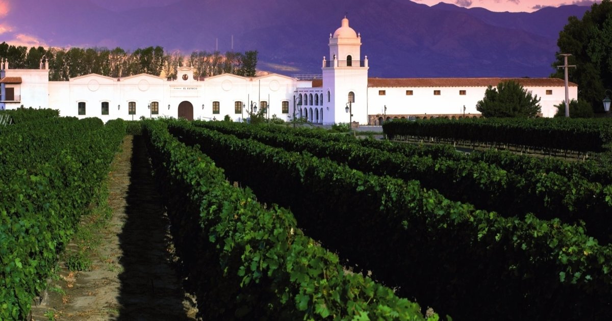 Salta & Cafayate Wine Tour in 4 Days | Wine Paths