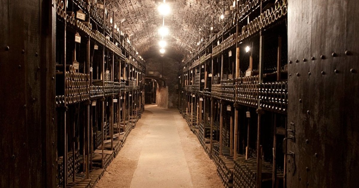 Exclusive wine tasting in Beaune | Wine Paths