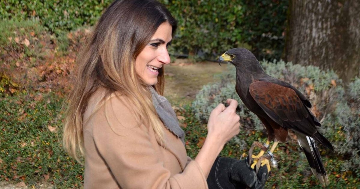 Falconry class at Avignonesi (TUSCANY) - Avignonesi – Fattoria Le ...