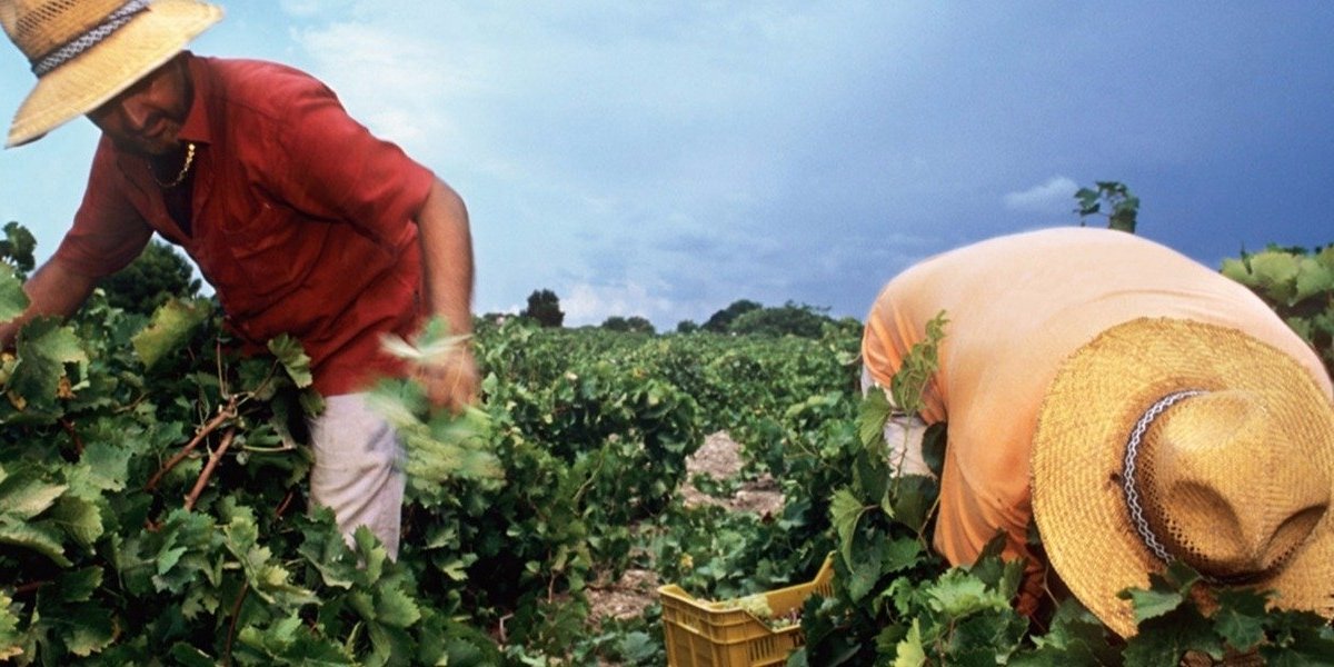 Exclusive wine tour in Tasca D'almerita | Wine Paths