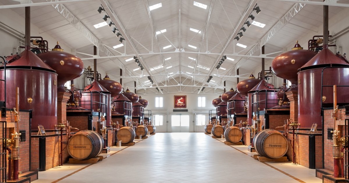 Seasonal tour at Hennessy | Wine Paths