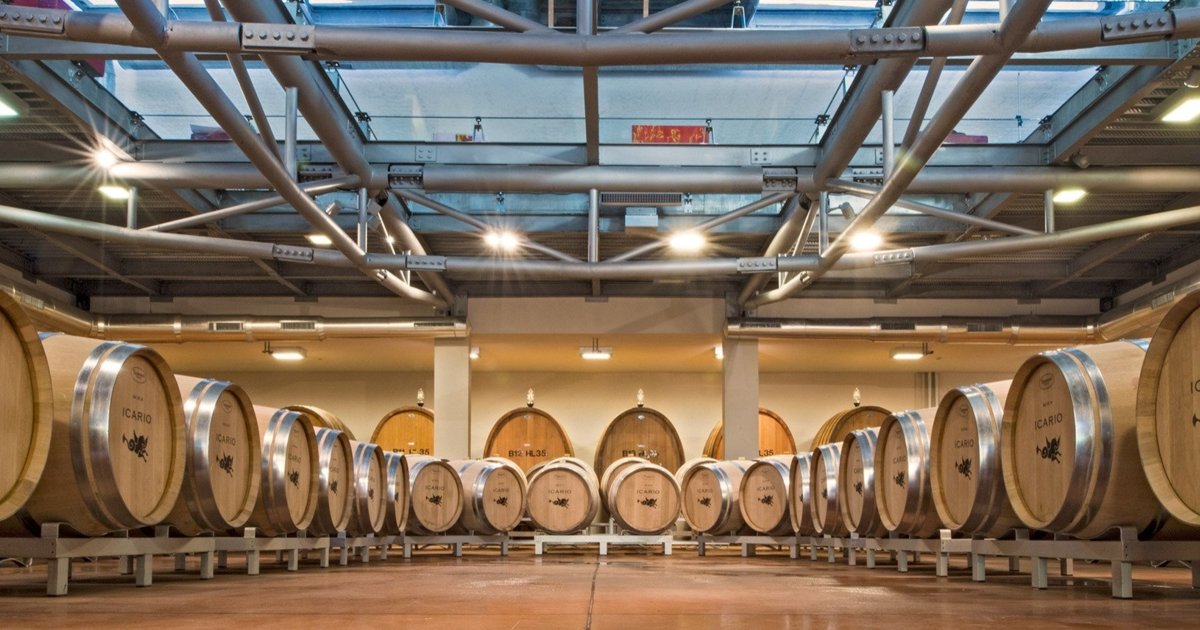Wine tasting at Icario Estate | Wine Paths