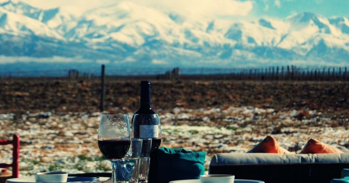 Local Wine Travel Expert in Argentina | Wine Paths