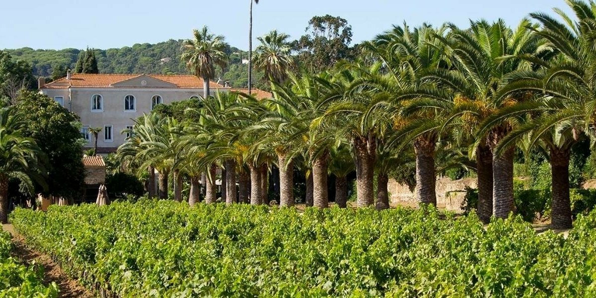 Stay at Chateau De Valmer (PROVENCE) | Wine Paths