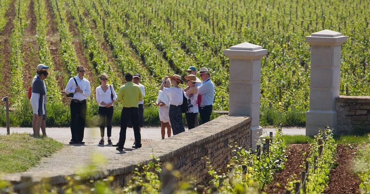 Vineyard tour (BURGUNDY) - Olivier Leflaive Hôtel 4**** | Wine Paths