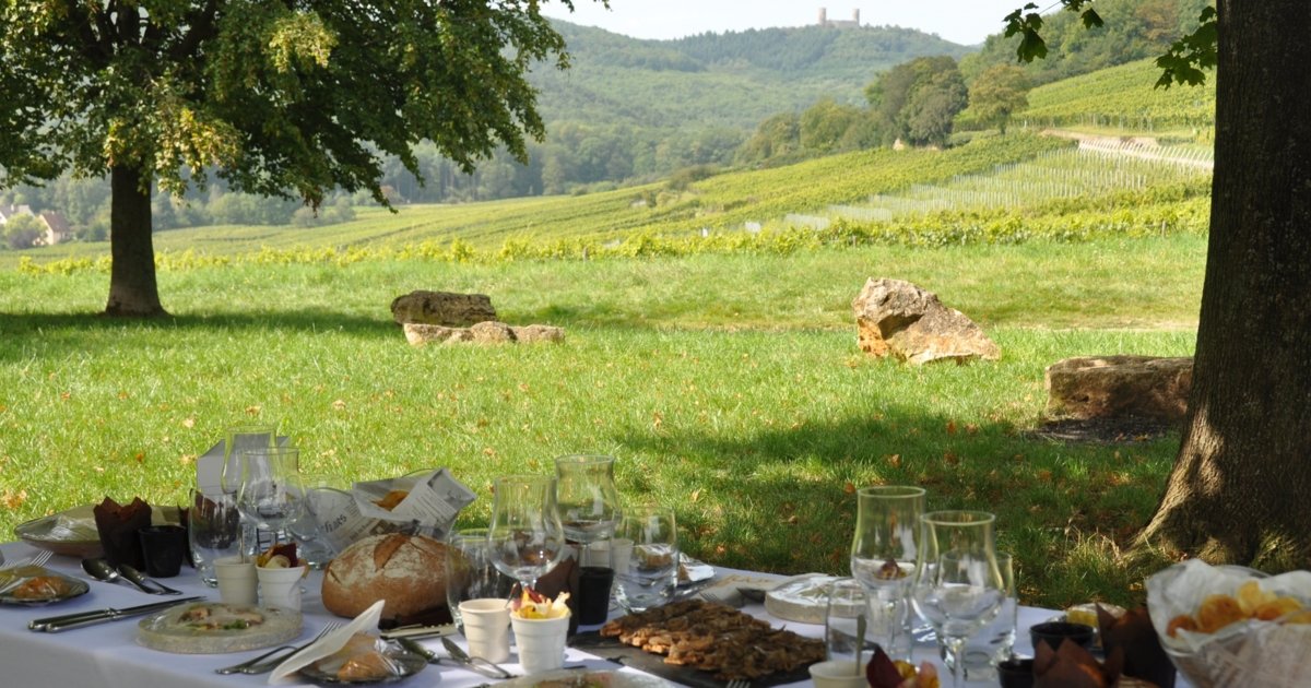 Local wine travel expert in Alsace, France | Wine Paths