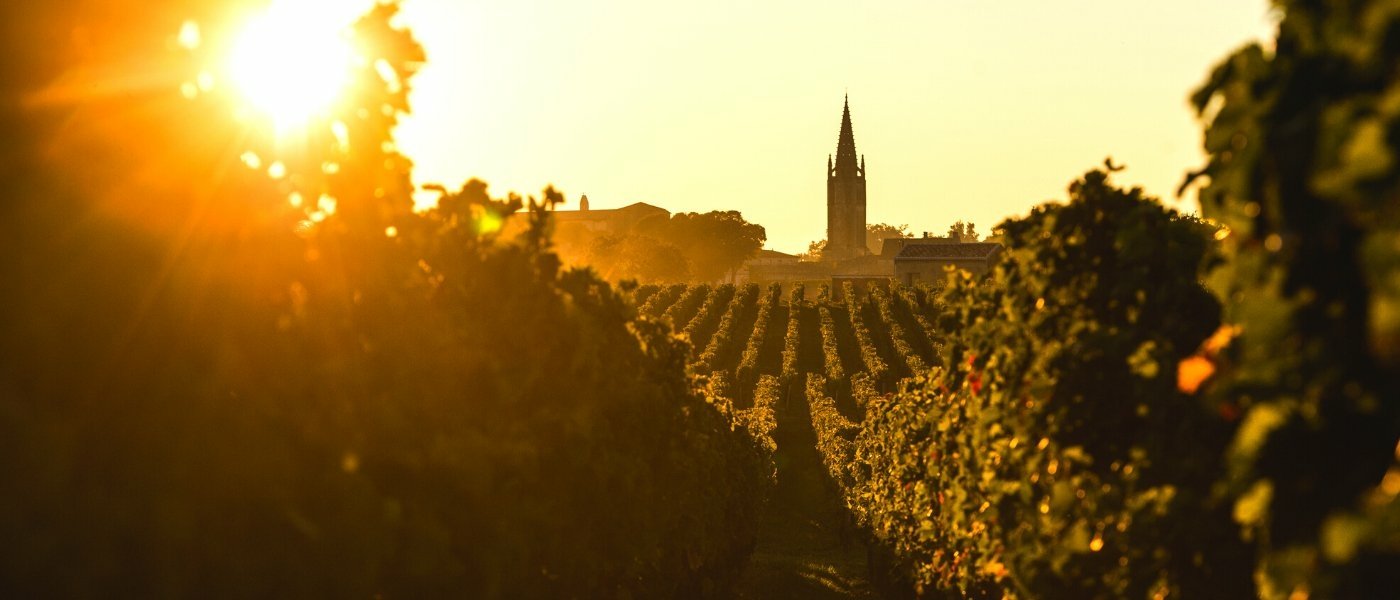 Bordeaux wine region map