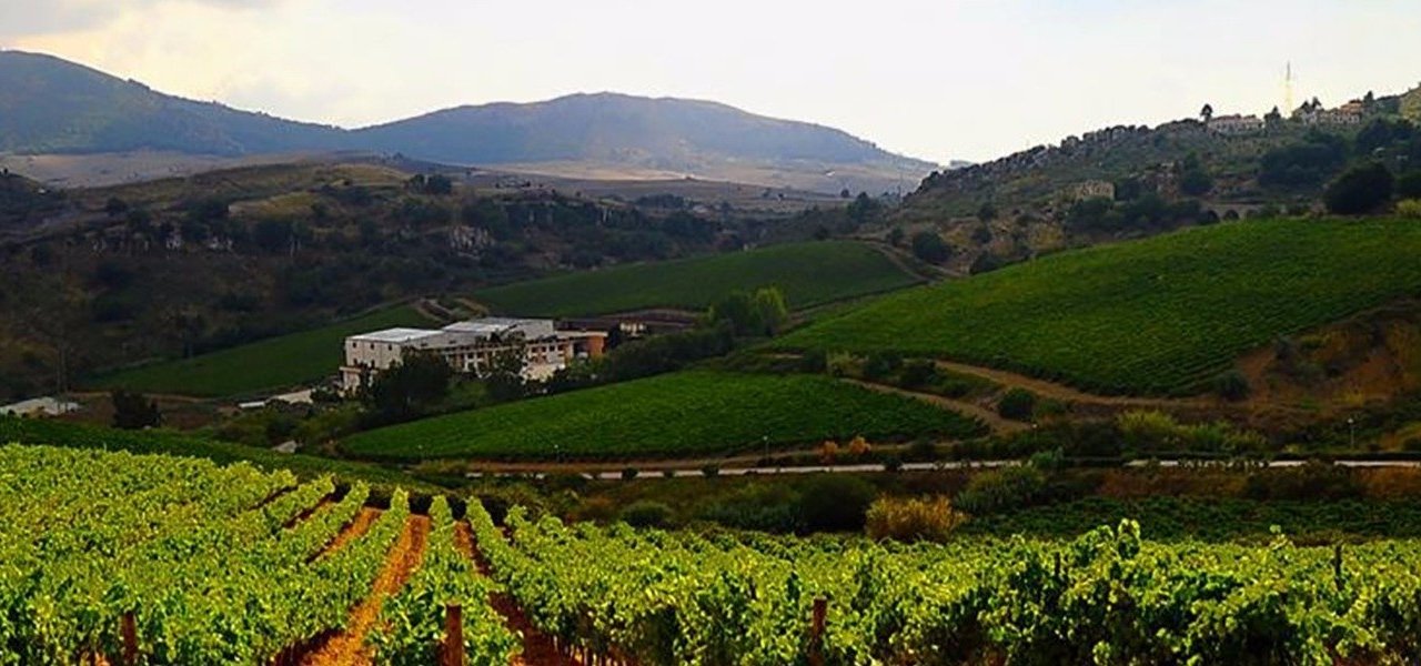 Bespoke cooking class in Palermo | Wine Paths