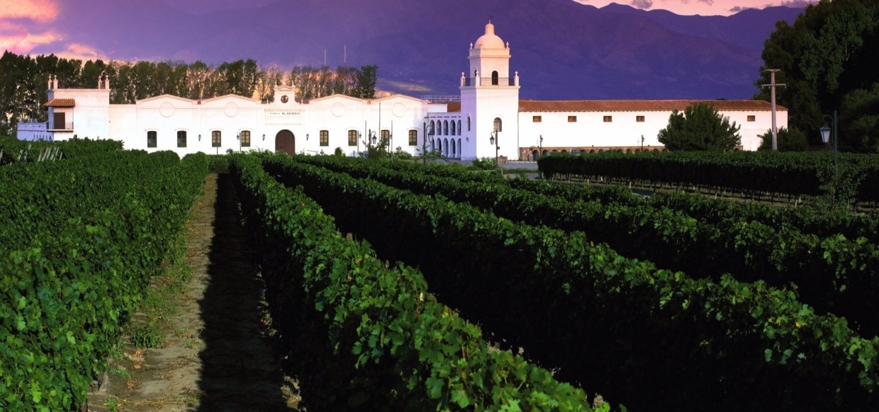 cafayate wine