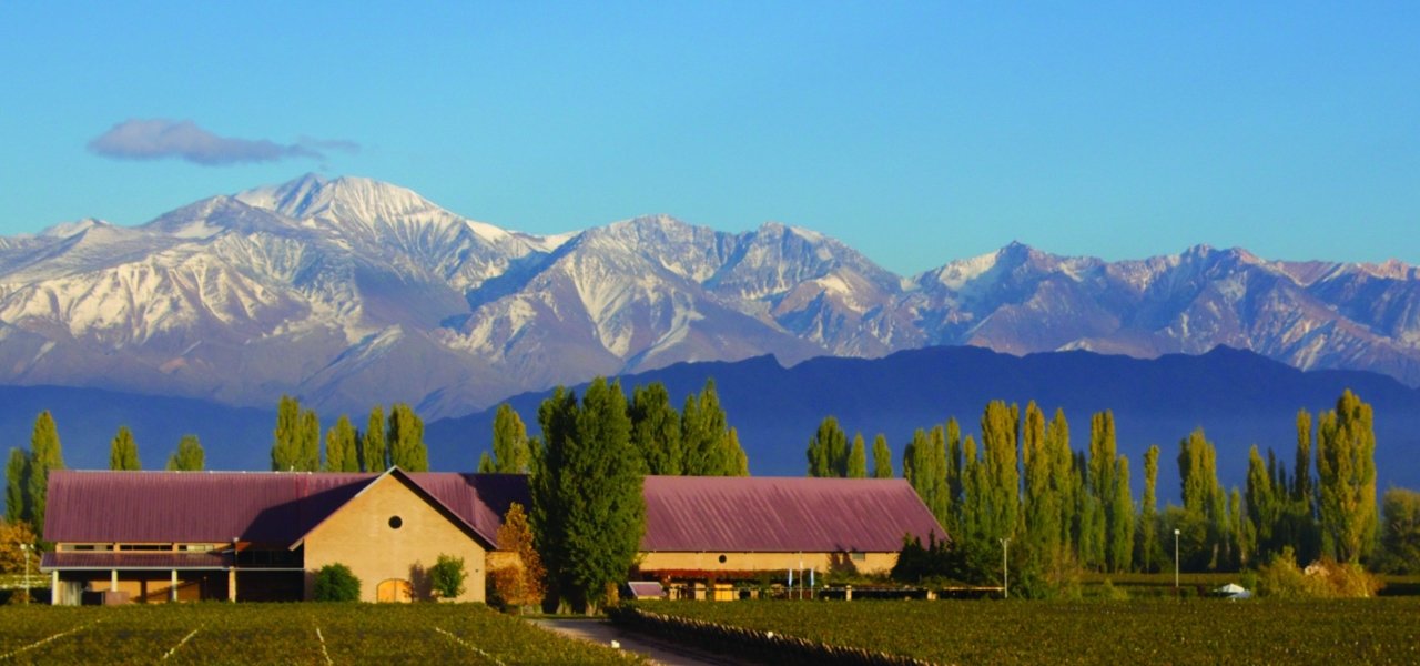 Family Winery Argentina | Wine Paths
