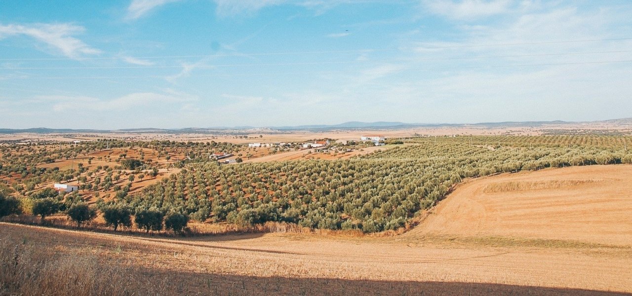 Tailor-made 4-day wine holiday package in Lisbon and Alentejo | Wine Paths