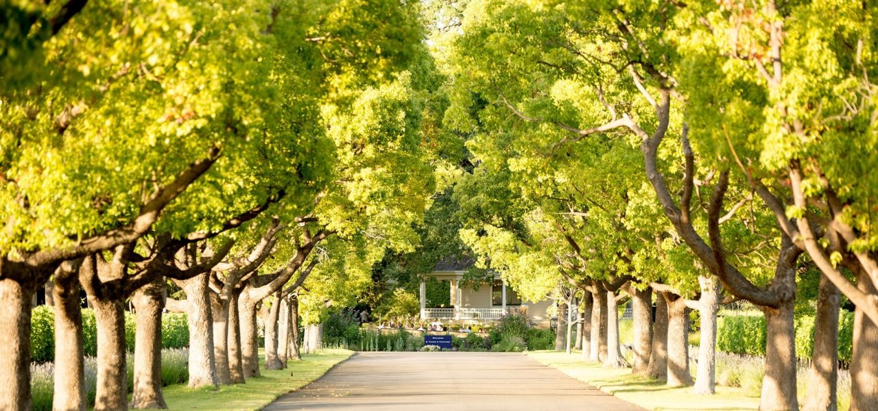 Visit St. Supéry Estate Vineyards and Winery in USA | Wine Paths