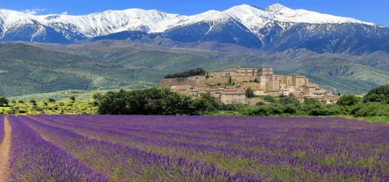 Bespoke wine tour in Provence | Wine Paths