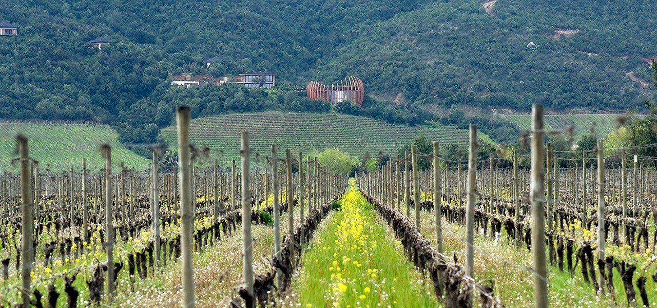 Visit Clos Apalta in Chile | Wine Paths