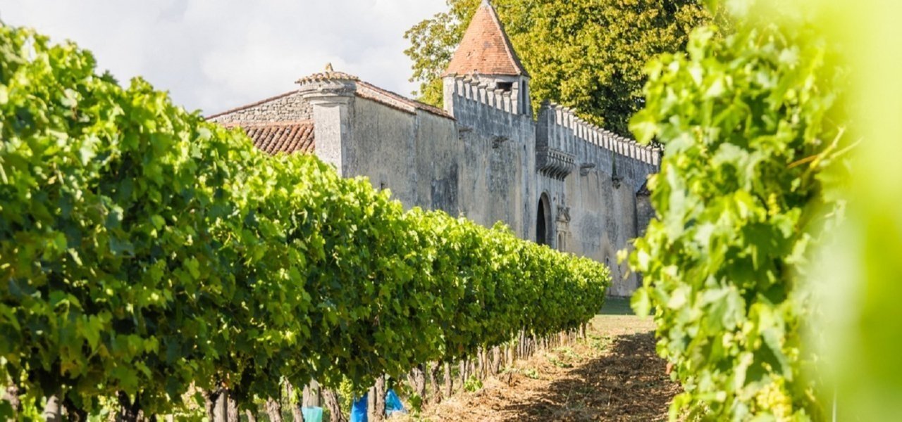 Bike Tour through the Cognac Countryside - Irene - Local travel agent ...