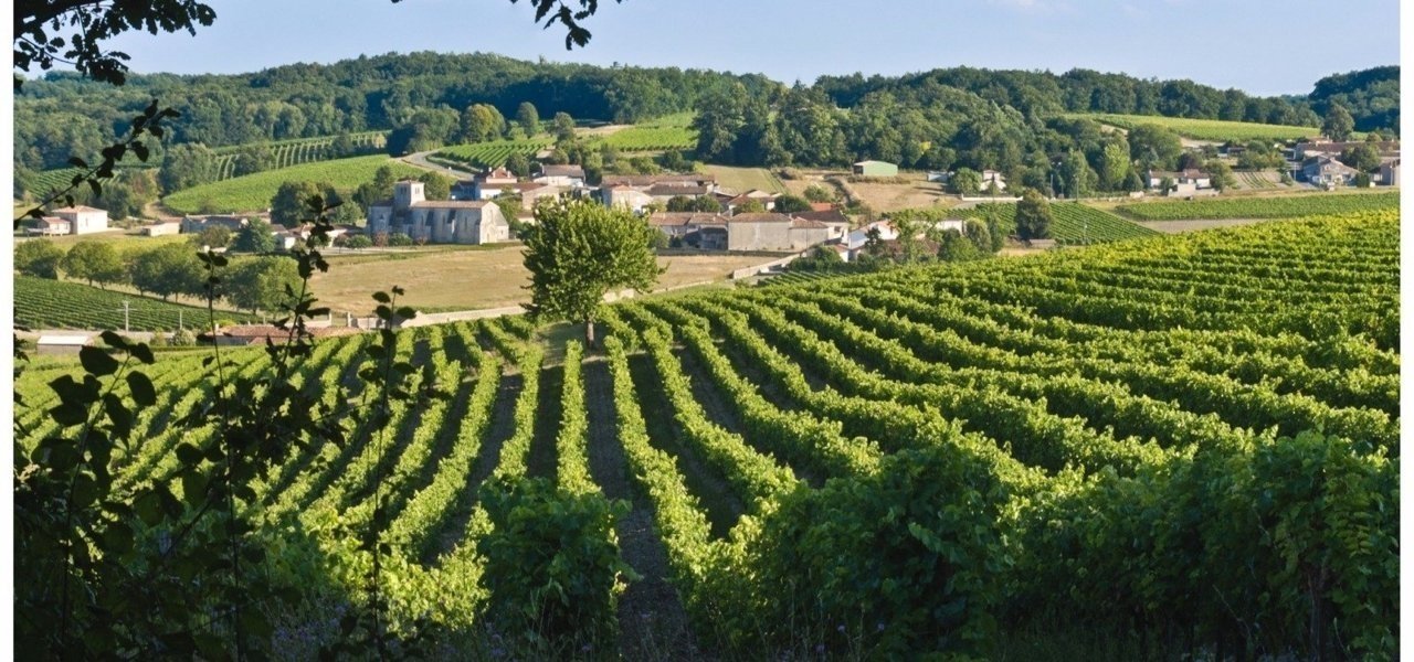Bike Tour through the Cognac Countryside - Irene - Local travel agent ...