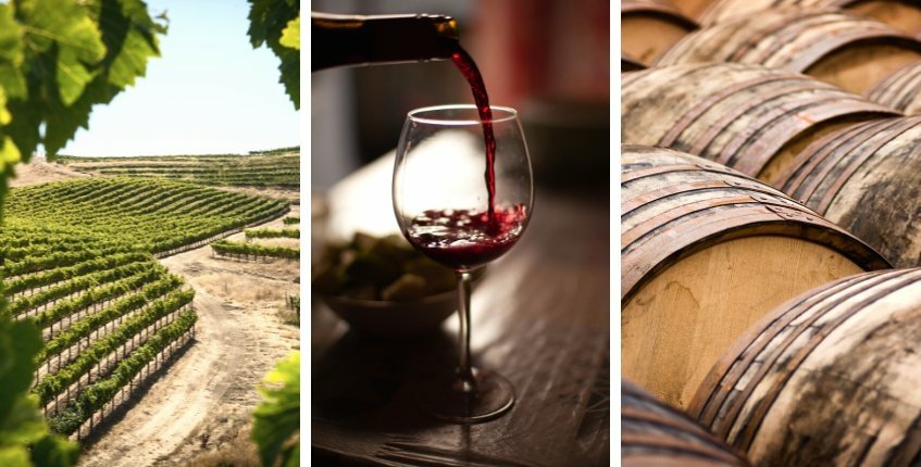 Wine Tasting Holidays | Luxury Wine Tours & Distillery Tours | Wine Paths