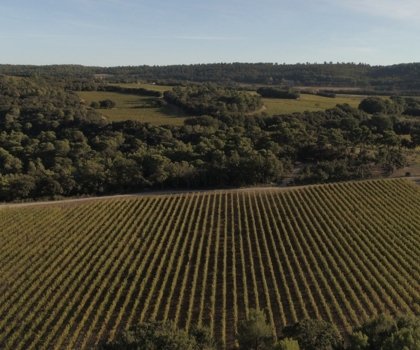 Italy wine map - Wine Paths