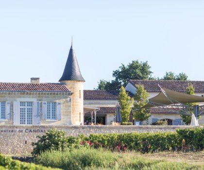 Wine Tasting Holidays | Luxury Wine Tours & Distillery Tours | Wine Paths