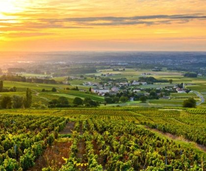 Wine Tasting Holidays | Luxury Wine Tours & Distillery Tours | Wine Paths