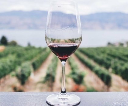 France Wine Tours & Trips | Wine Tasting Tours in France