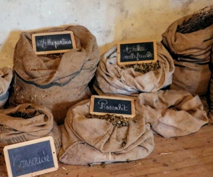 Wine Tasting Holidays | Luxury Wine Tours & Distillery Tours | Wine Paths