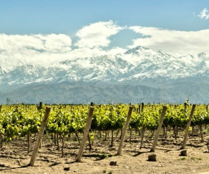 France Wine Tours & Trips | Wine Tasting Tours in France