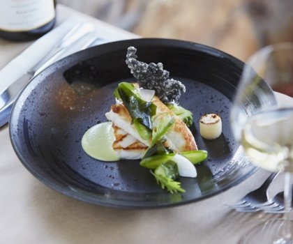 The Ultimate Beginners Guide to Wine