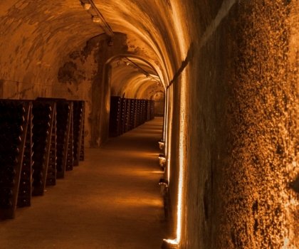 The Mumm Experience | Wine Paths