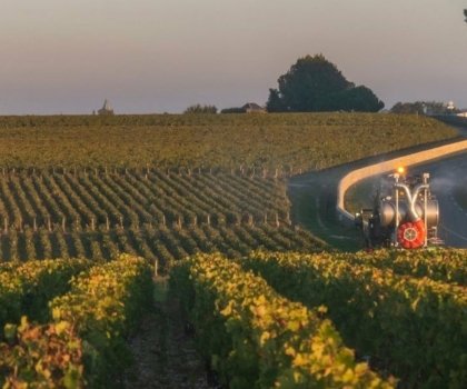 France Wine Tours & Trips | Wine Tasting Tours in France