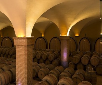 Paarl wines